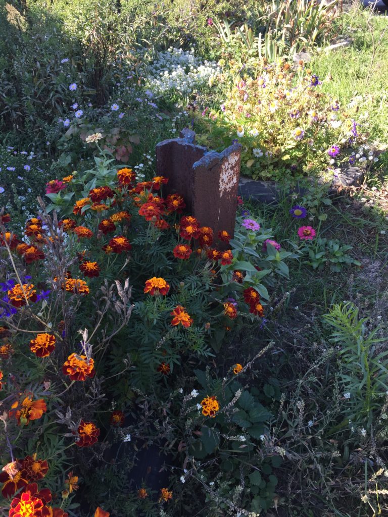 Janowska Concentration Camp – Heritage & Memory