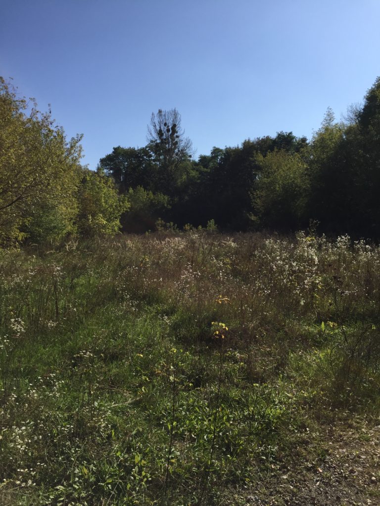 Janowska Concentration Camp – Heritage & Memory